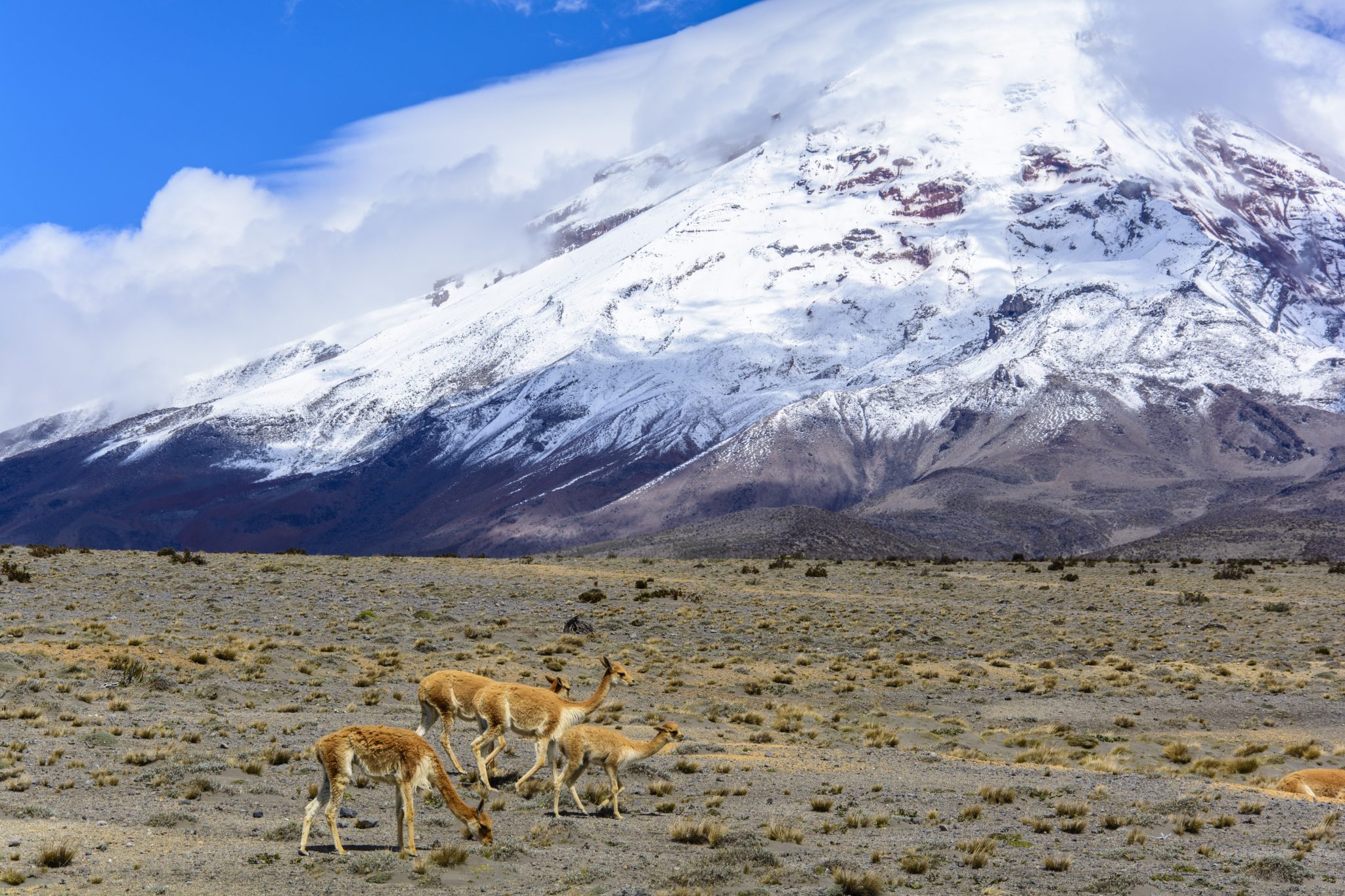 The 5 Highest Summits of the Andean countries